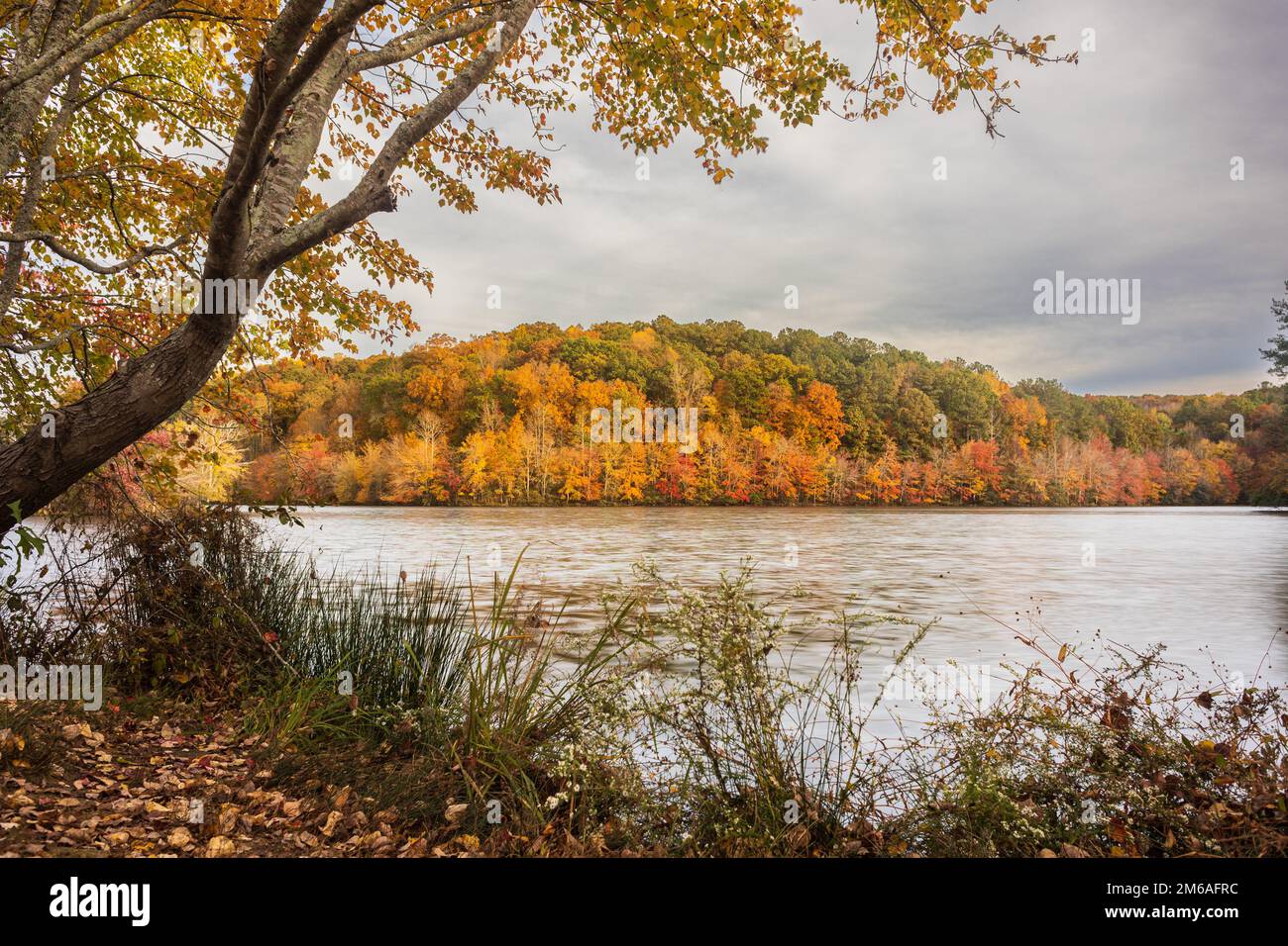 North georgia fall color hi-res stock photography and images - Alamy