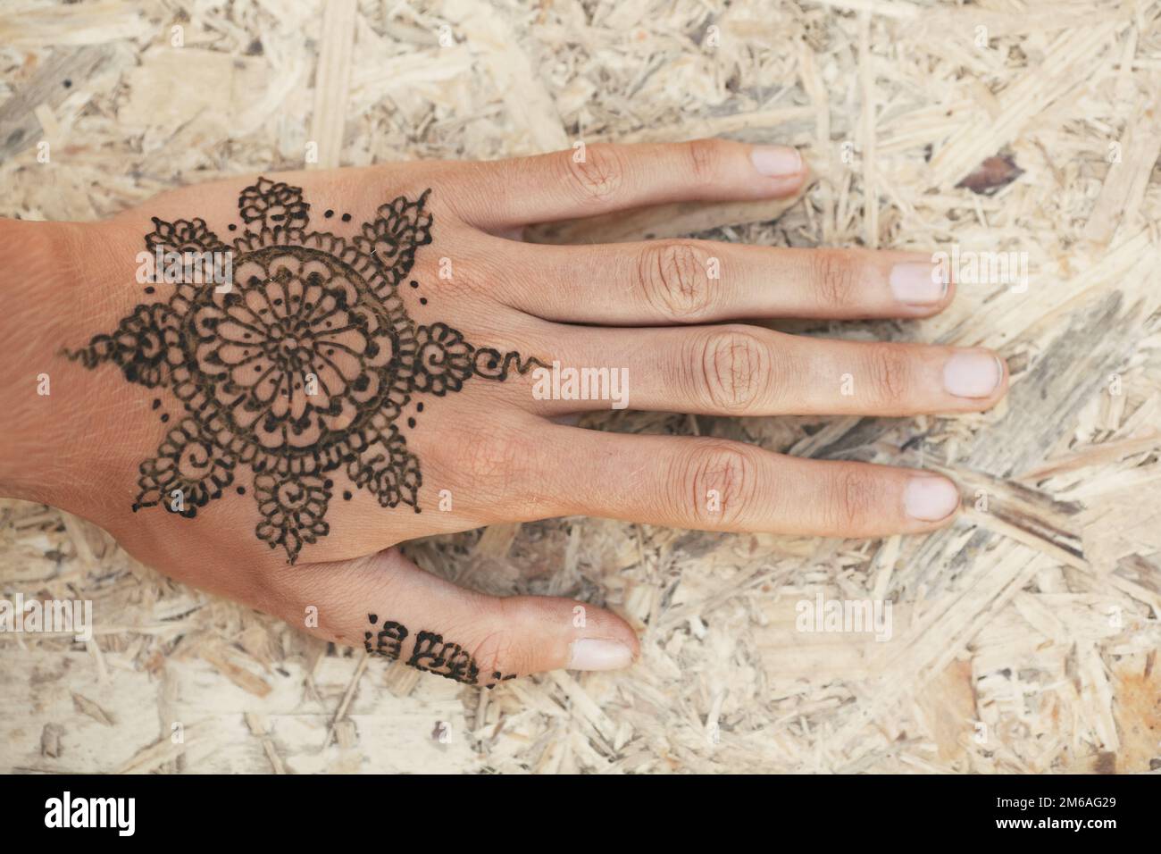 Indian mehendi ceremony hi-res stock photography and images - Alamy