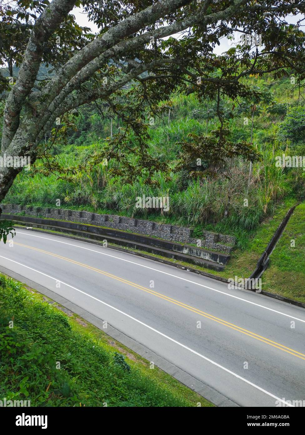 Via el pollo hi-res stock photography and images - Alamy