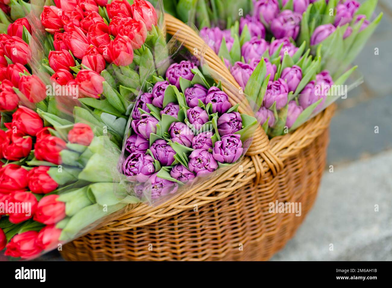 Beautiful colorful tulips sold in outdoor flower shop in Vilnius ...