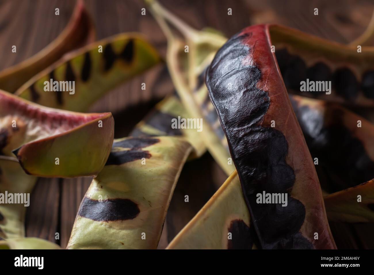 Acacia seeds hi-res stock photography and images - Alamy
