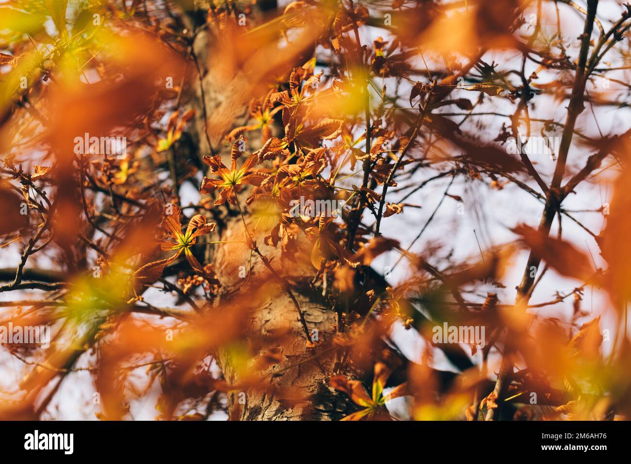 Outdoor park scene hi-res stock photography and images - Alamy