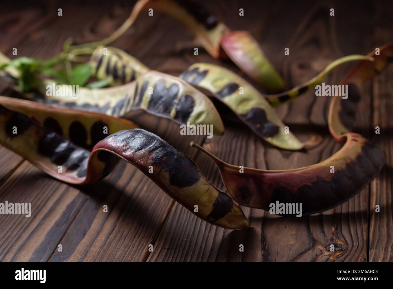 Locust seeds hi-res stock photography and images - Alamy