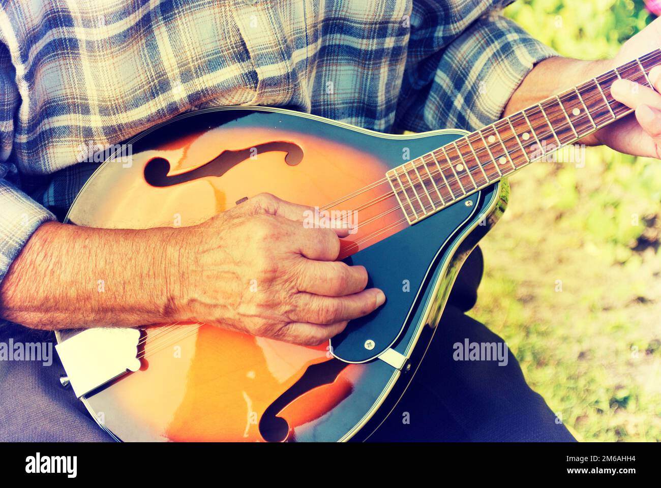 Senior man playing mandolin Stock Photo - Alamy Senior man playing mandolin Stock Photo - Alamy