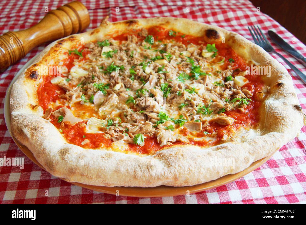 Tuna Pizza. Neapolitan pizza with mozzarella cheese, tuna, onion and ...