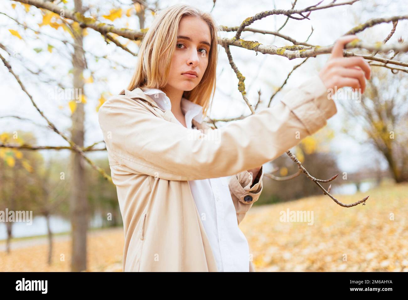 young woman holding on to a tree branch in autumn Stock Photo - Alamy