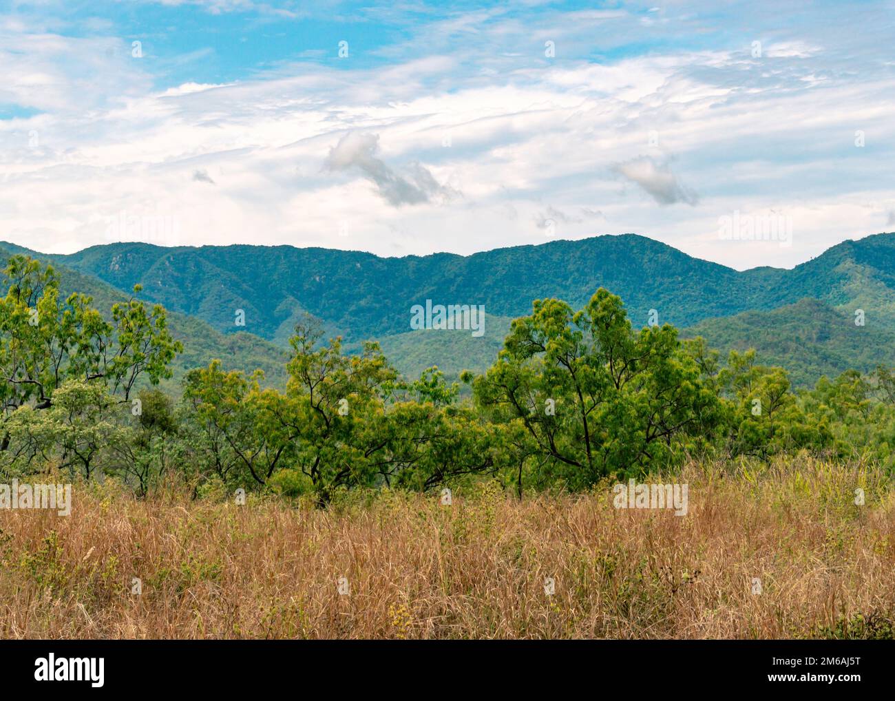 A picturesque nature landscape in the mountains of Queensland ...