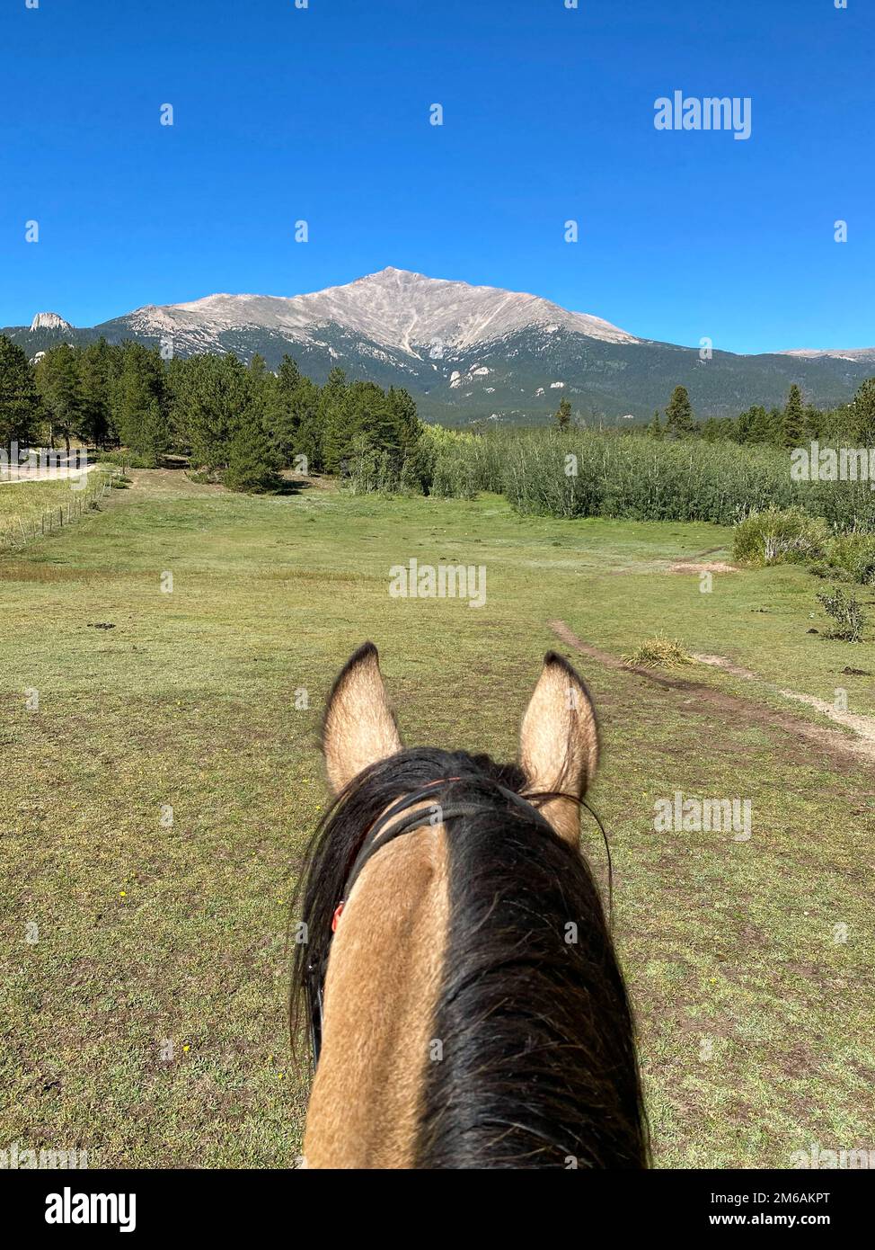 Dude ranch colorado hi-res stock photography and images - Alamy