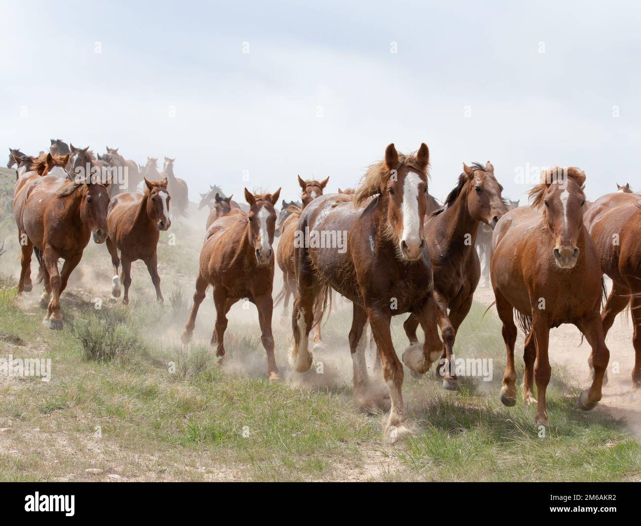 Group running in to the sea hi-res stock photography and images - Alamy