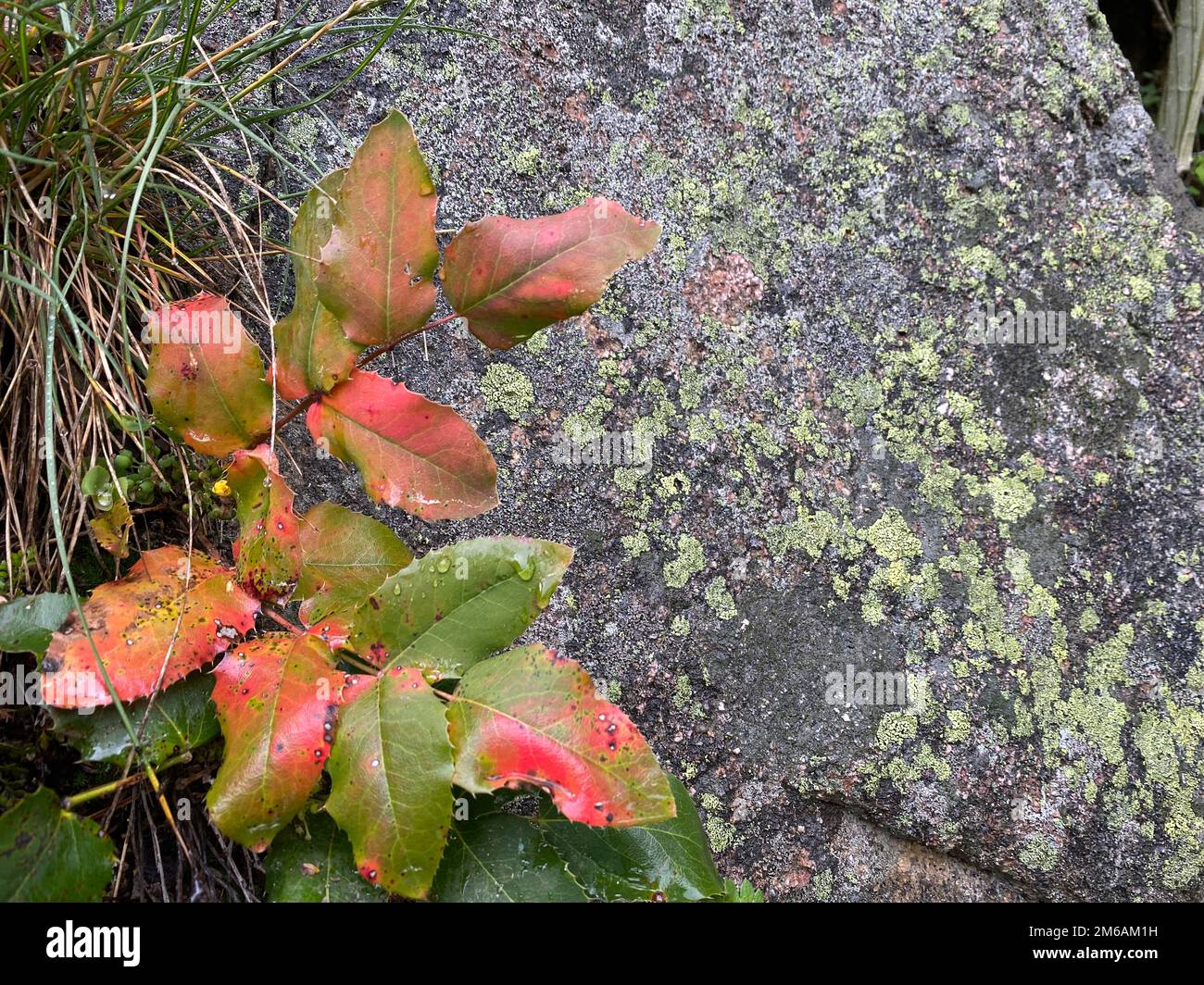 Changing red rock hi-res stock photography and images - Alamy