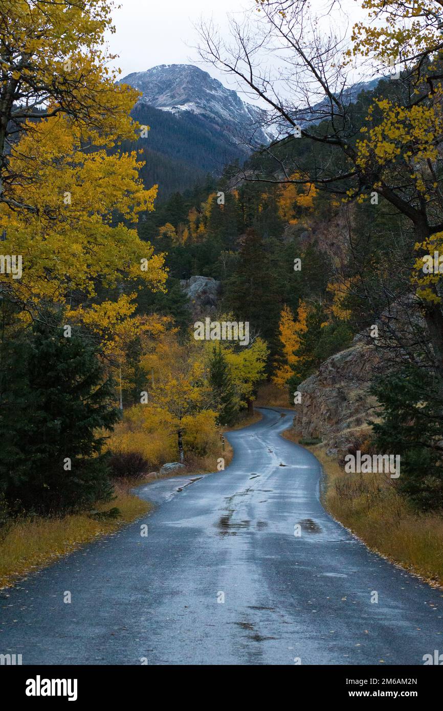 Winding wet asphalt road hi-res stock photography and images - Alamy