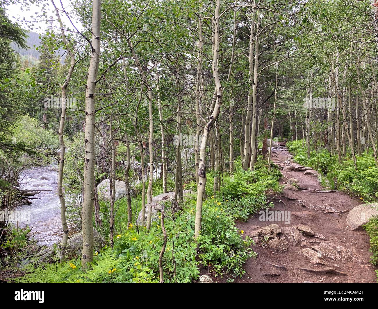Aspen river hi-res stock photography and images - Alamy