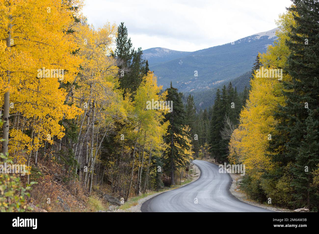 Winding through leaves hi-res stock photography and images - Alamy