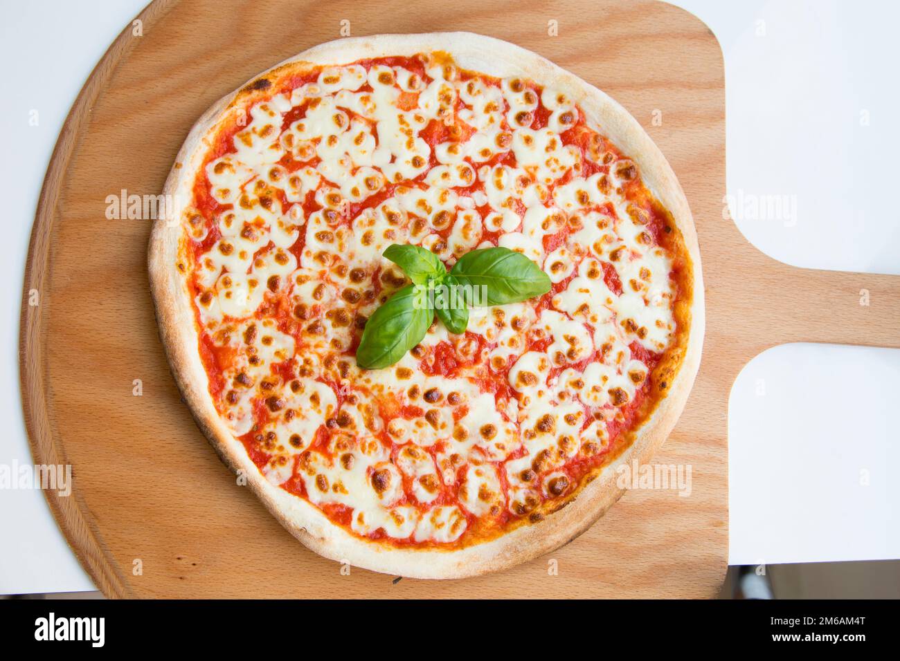 Margherita Pizza. Neapolitan pizza made with San Marzano tomatoes ...
