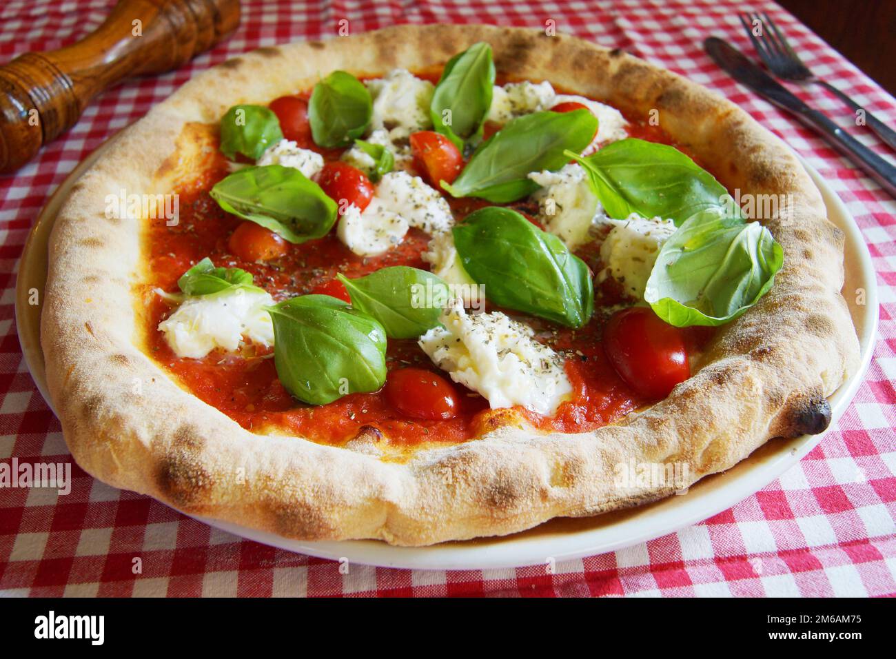 Bufala Mozzarella Pizza. Neapolitan pizza made with tomato sauce ...