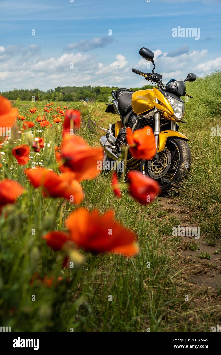 Beautiful red poppy field with motorcycle in focus Stock Photo - Alamy