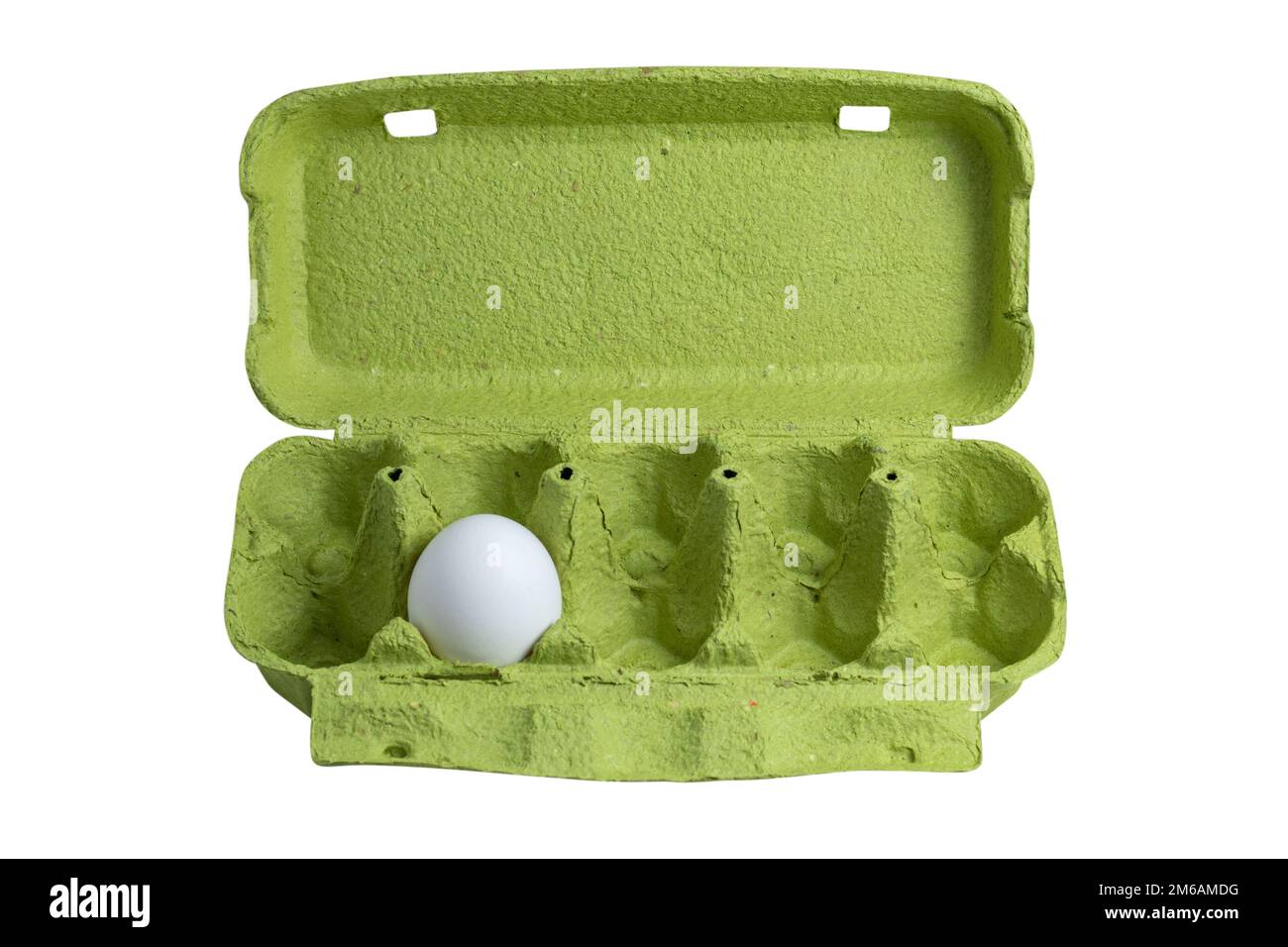 Single egg in paper egg tray on white background Stock Photo - Alamy