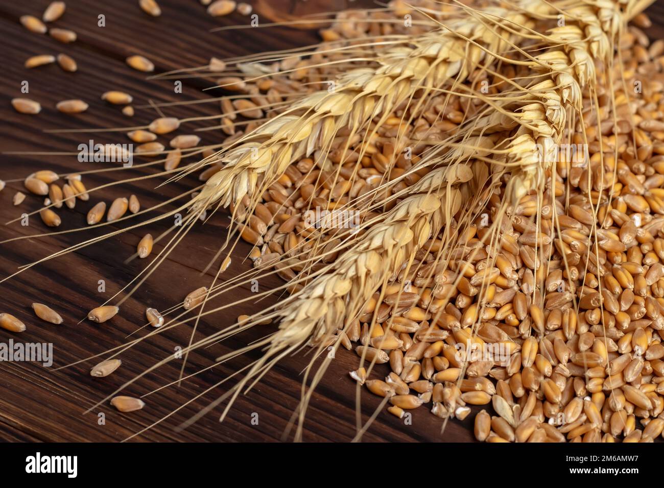 Scattered grains hi-res stock photography and images - Alamy