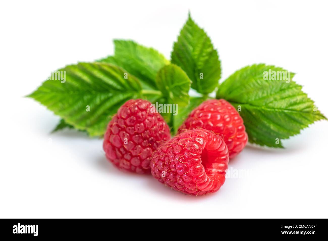 Raspberry with leaves. Raspberry isolated on white background Stock ...