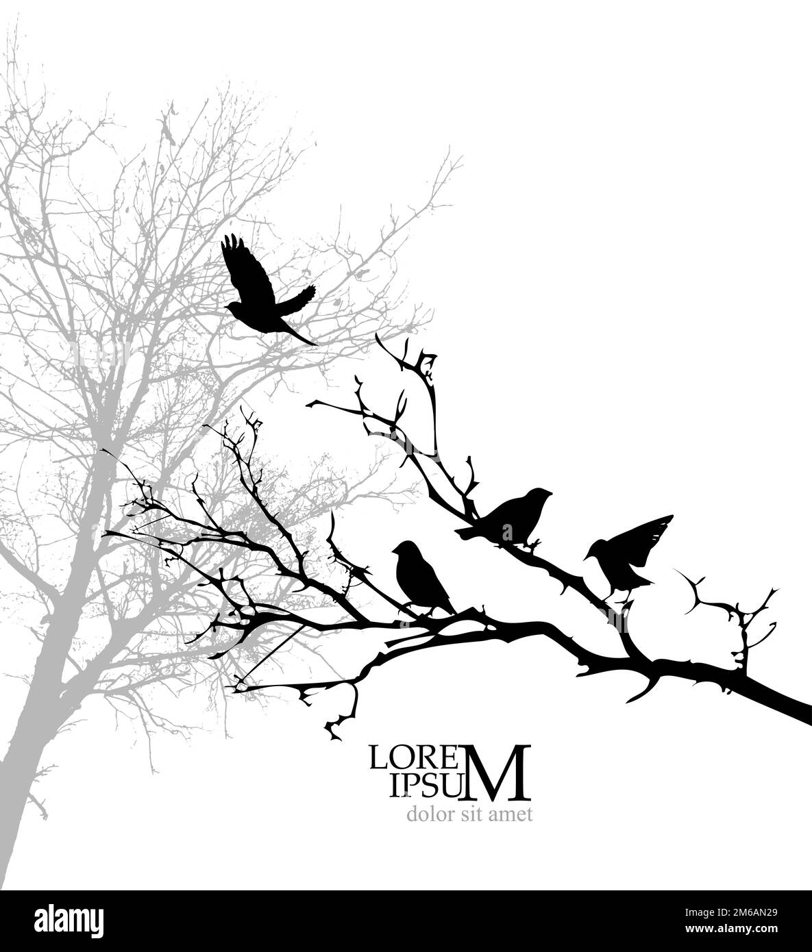 Birds on a branch. Vector illustration Stock Vector Image & Art - Alamy