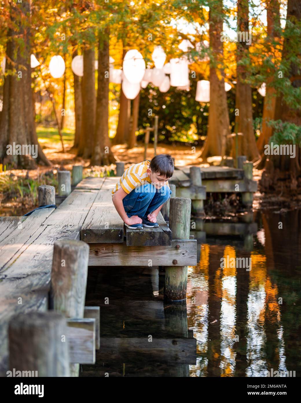 A curious boy looking down into a pond from a dock Stock Photo - Alamy