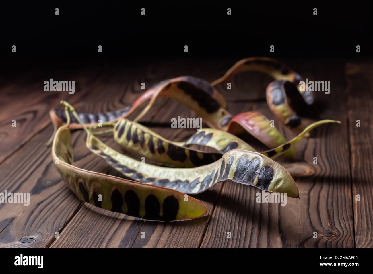 Acacia seeds hi-res stock photography and images - Alamy