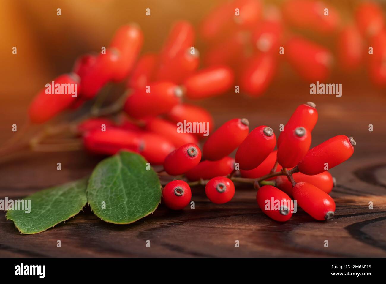 Barberry Berberis vulgaris branch fresh ripe berries wooden background ...