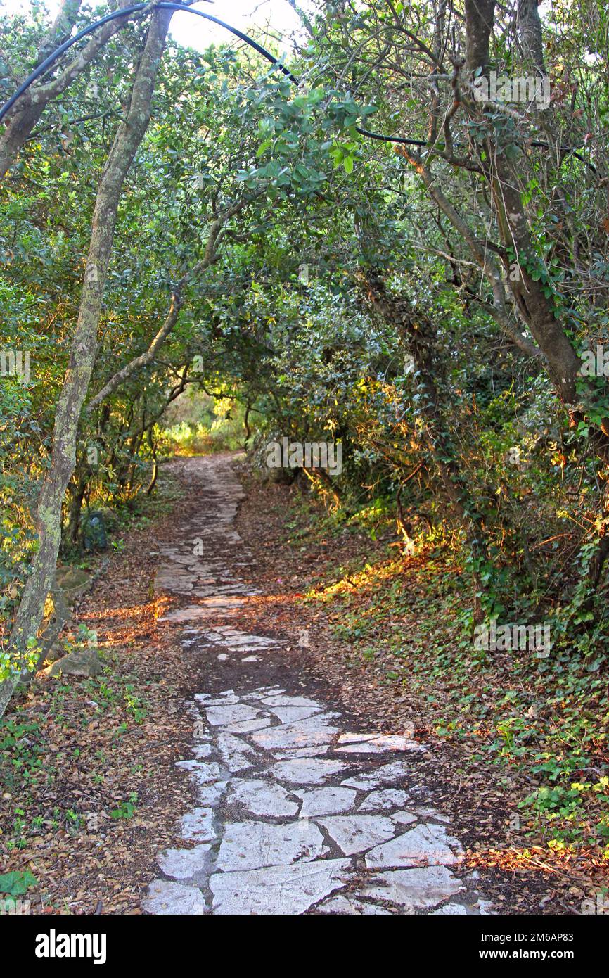 Serene trail hi-res stock photography and images - Alamy