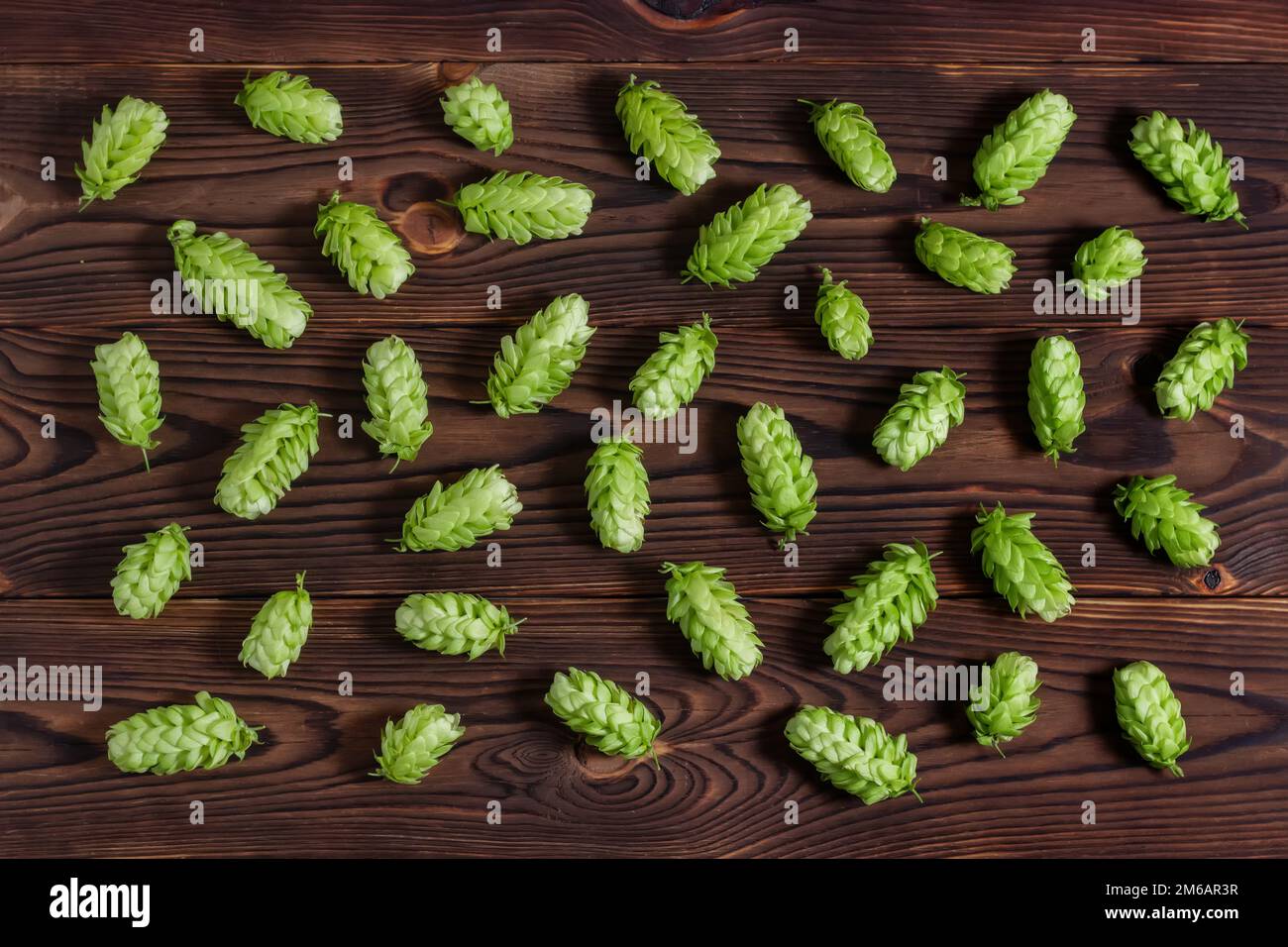 Beer hops pattern hi-res stock photography and images - Alamy