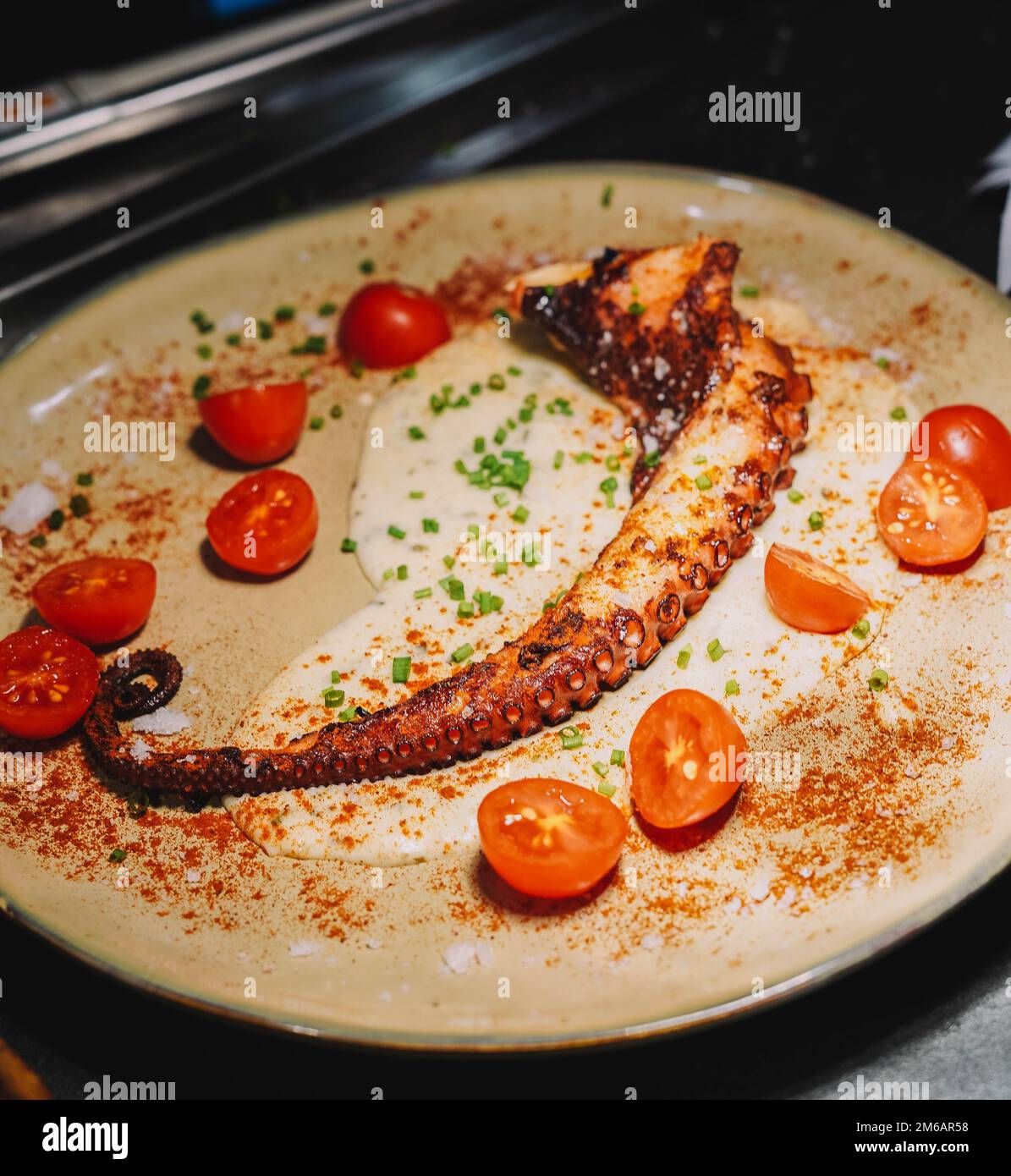Gourmet dish of grilled octopus tentacle in a fancy restaurant Stock ...