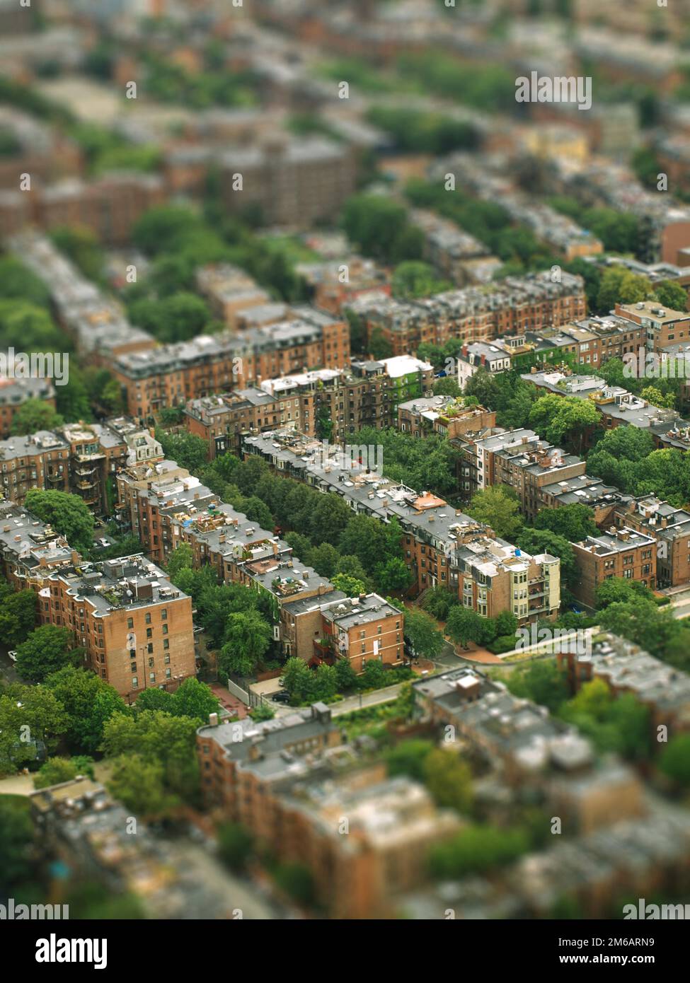 Boston trees hi-res stock photography and images - Alamy