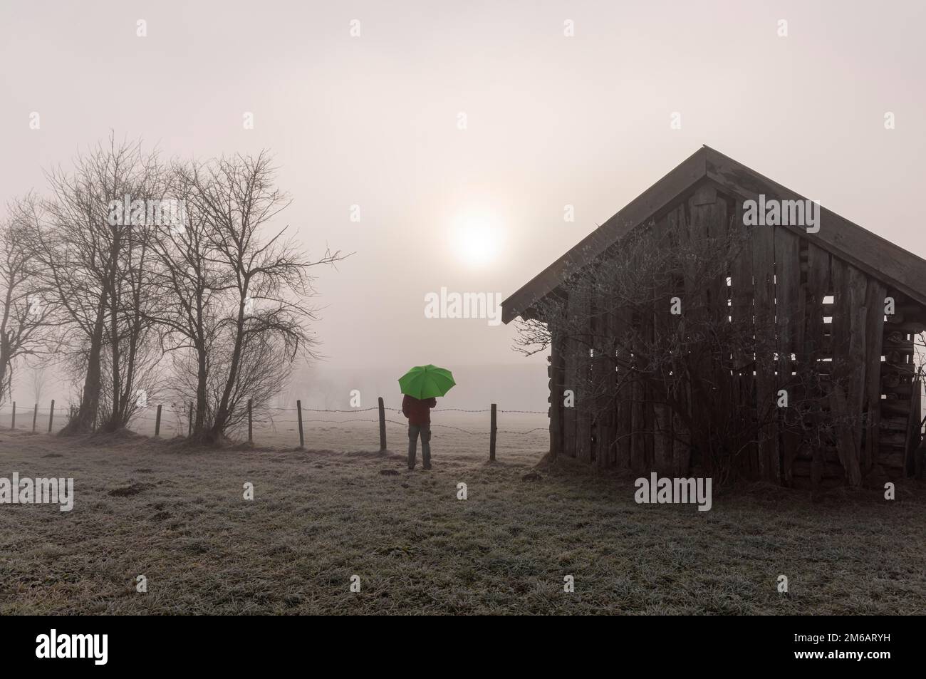 Walk in winter with rising sun and fog Stock Photo - Alamy