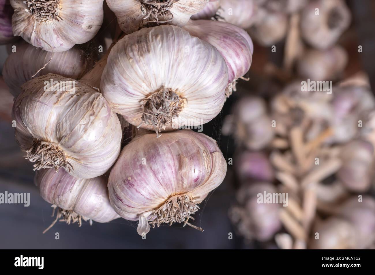 Hanging vegetable storage hi-res stock photography and images - Alamy