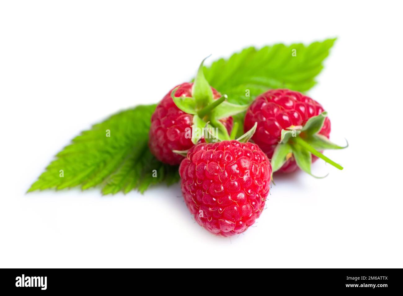 Raspberry with leaves. Raspberry isolated on white background Stock ...