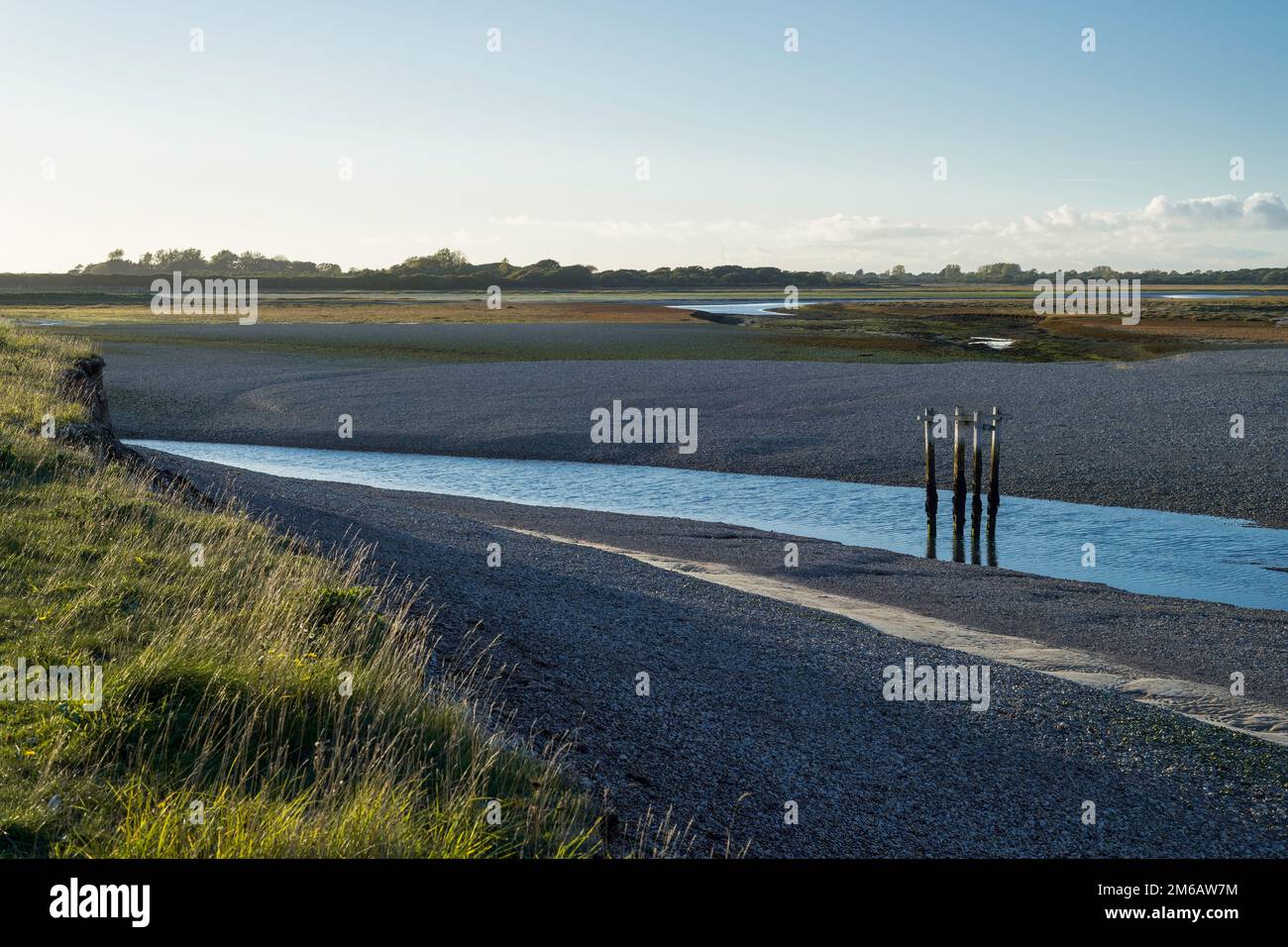 Pagham walks hi-res stock photography and images - Alamy