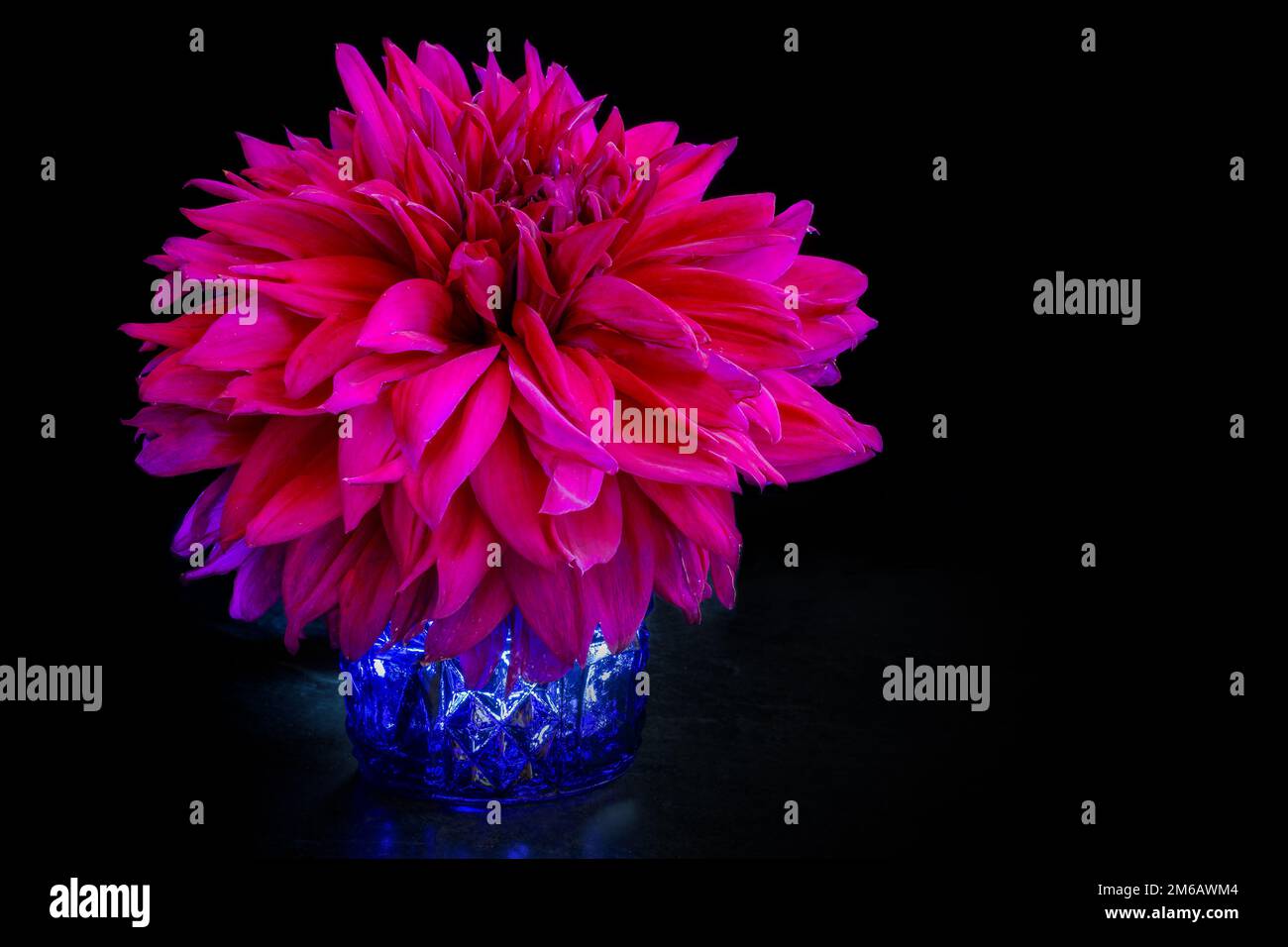 Elevate Your Home Decor with a Stunning Magenta Flower Vase: A ...