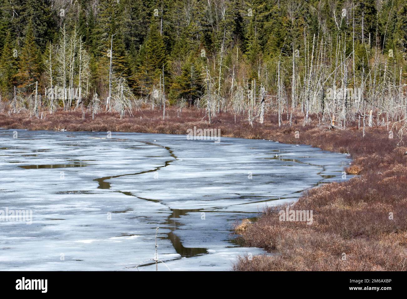 Thaw park hi-res stock photography and images - Alamy