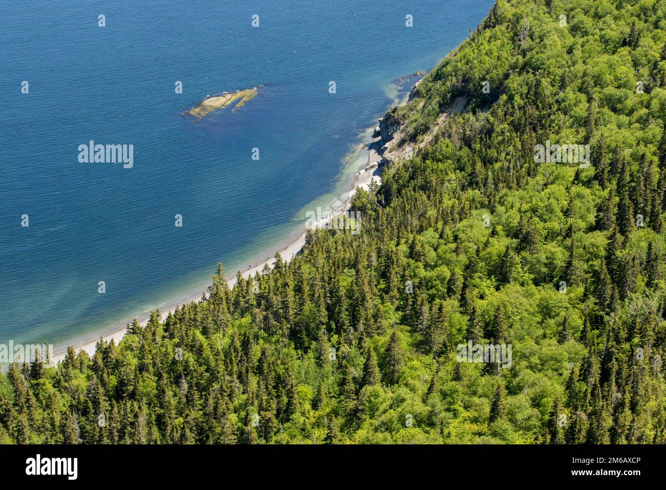 Seashore forest hi-res stock photography and images - Alamy