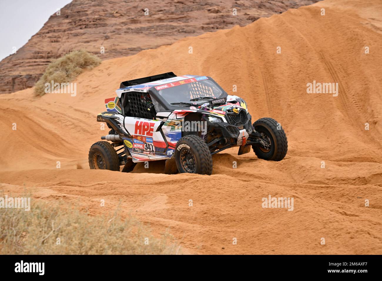 341 MINNITT Geoff (zaf), SNYMAN Gerhard (zaf), South Racing Can-Am, BRP ...
