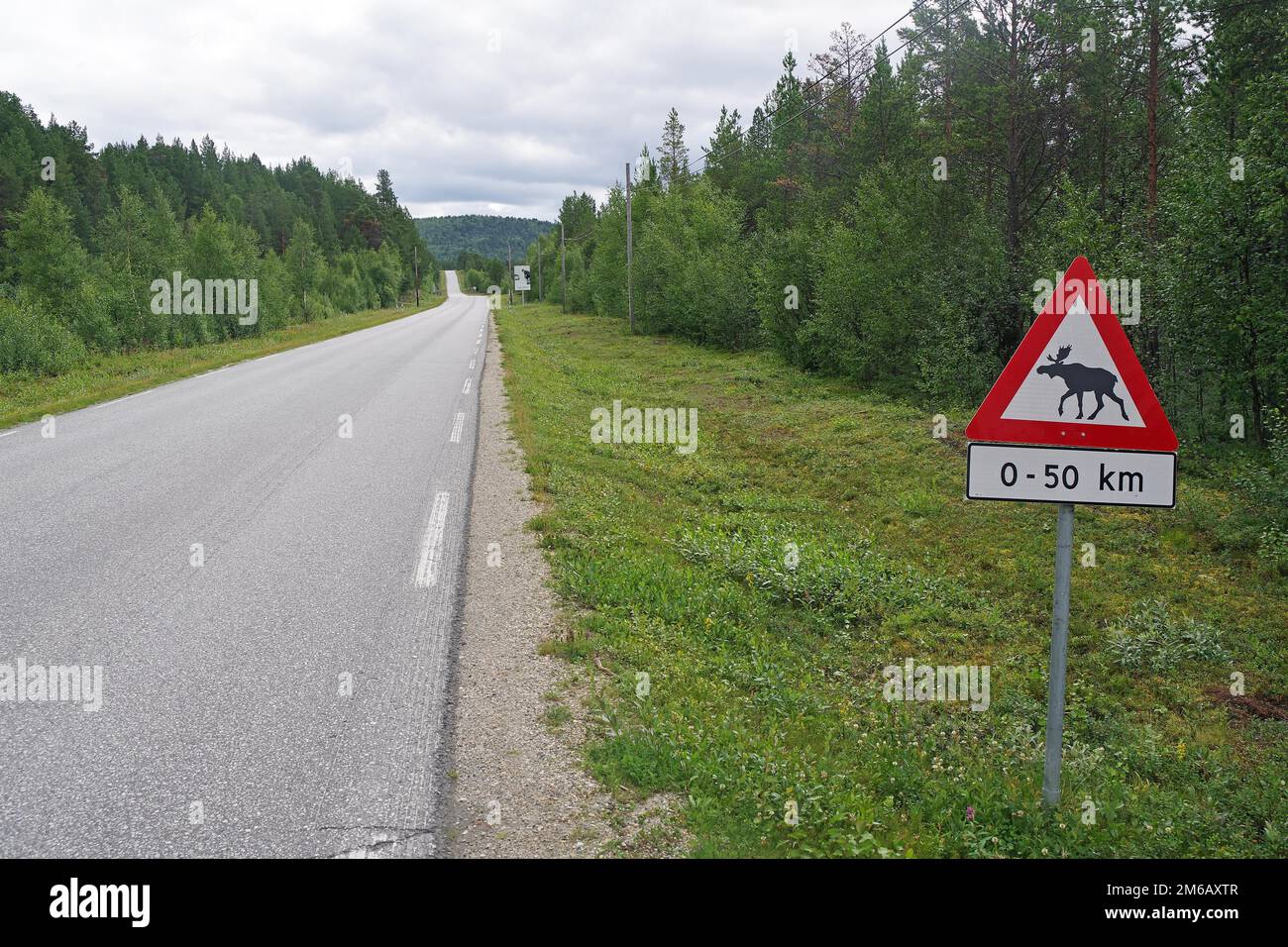 Sign warning of moose on a traffic-free road, Karasjok, Lapland, Norway ...