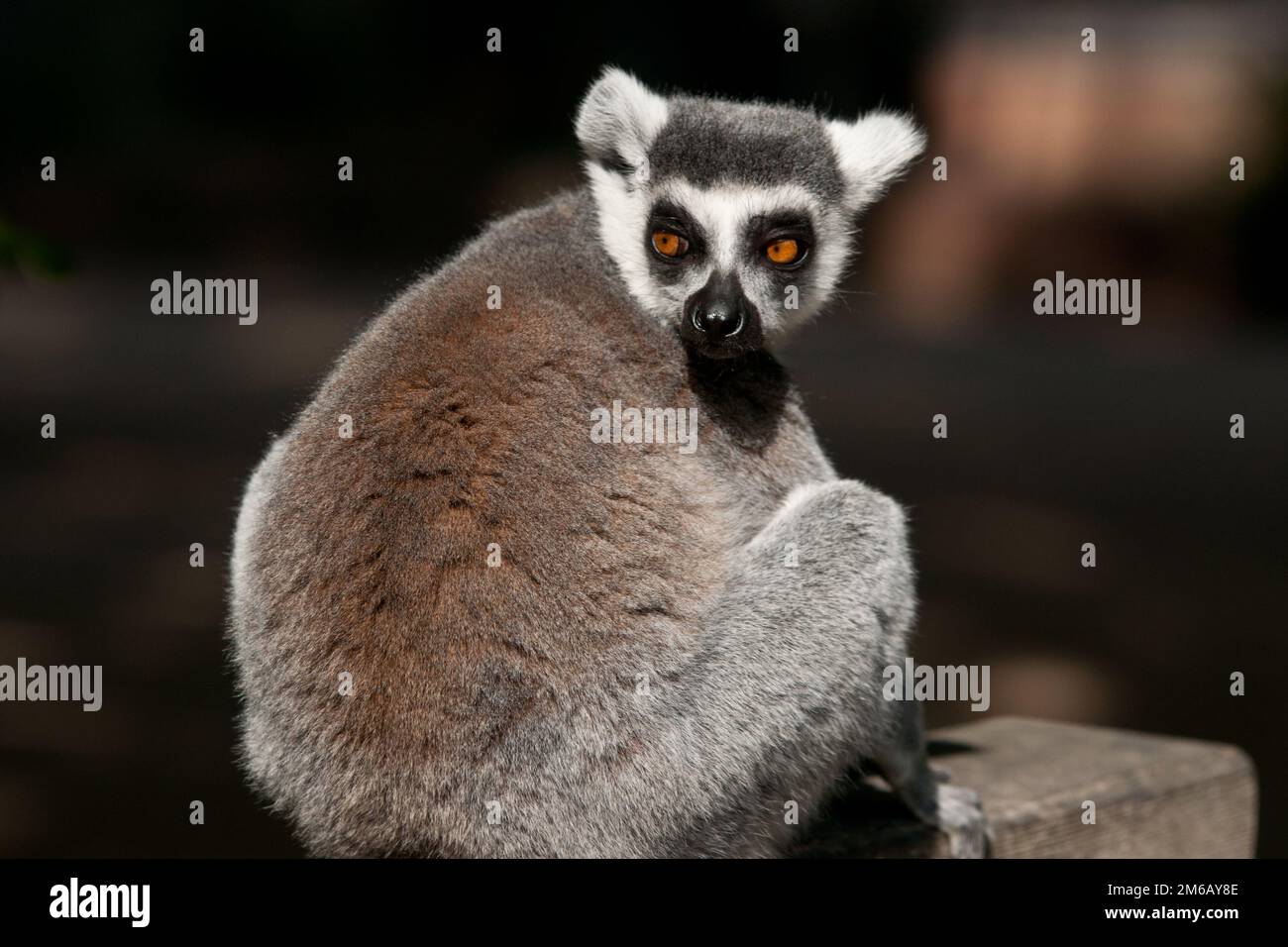 Vorwiegend hi-res stock photography and images - Alamy