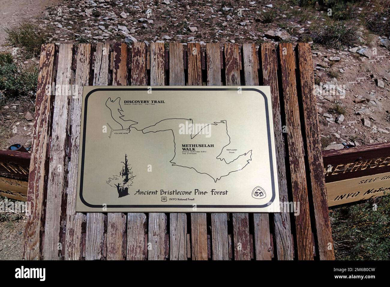 Information board, hiking trails through protected area Ancient ...