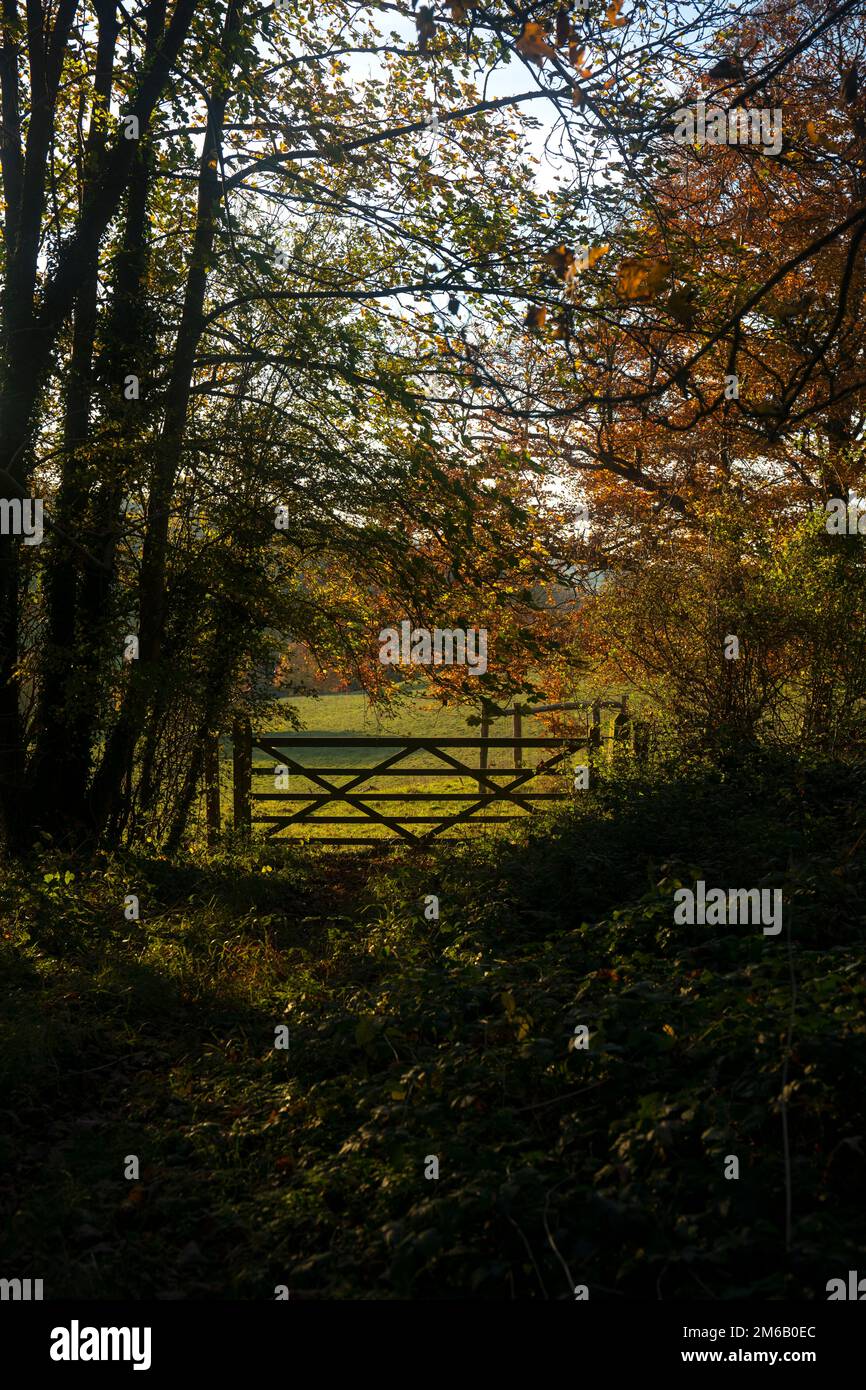 Hidden colours hi-res stock photography and images - Alamy