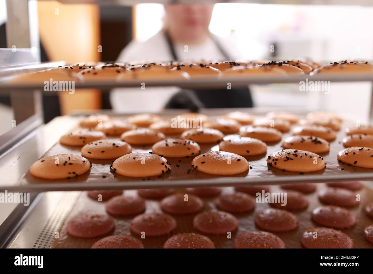 Chef placing a tray full of colorful macarons on a metal shelf with ...
