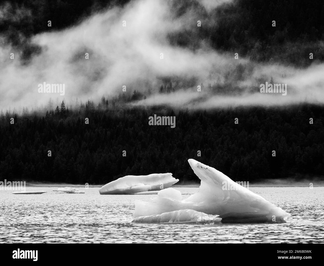 Us ice Black and White Stock Photos & Images - Alamy