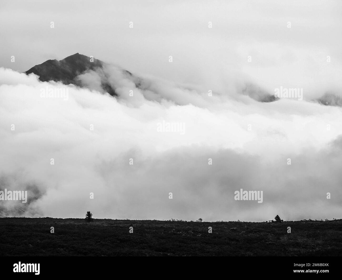 Alaska black and hi-res stock photography and images - Alamy