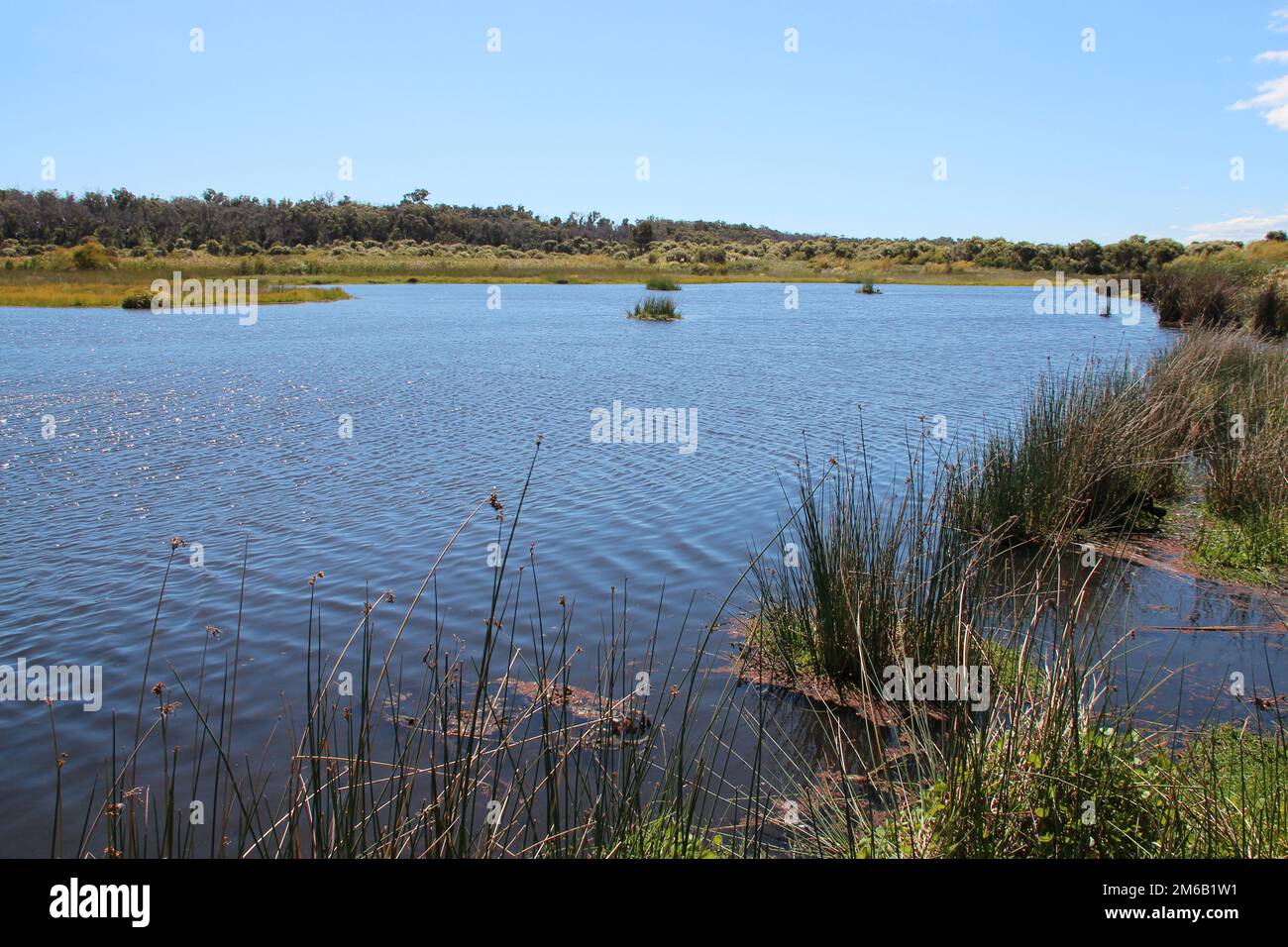 at yanchep national park in australia Stock Photo - Alamy