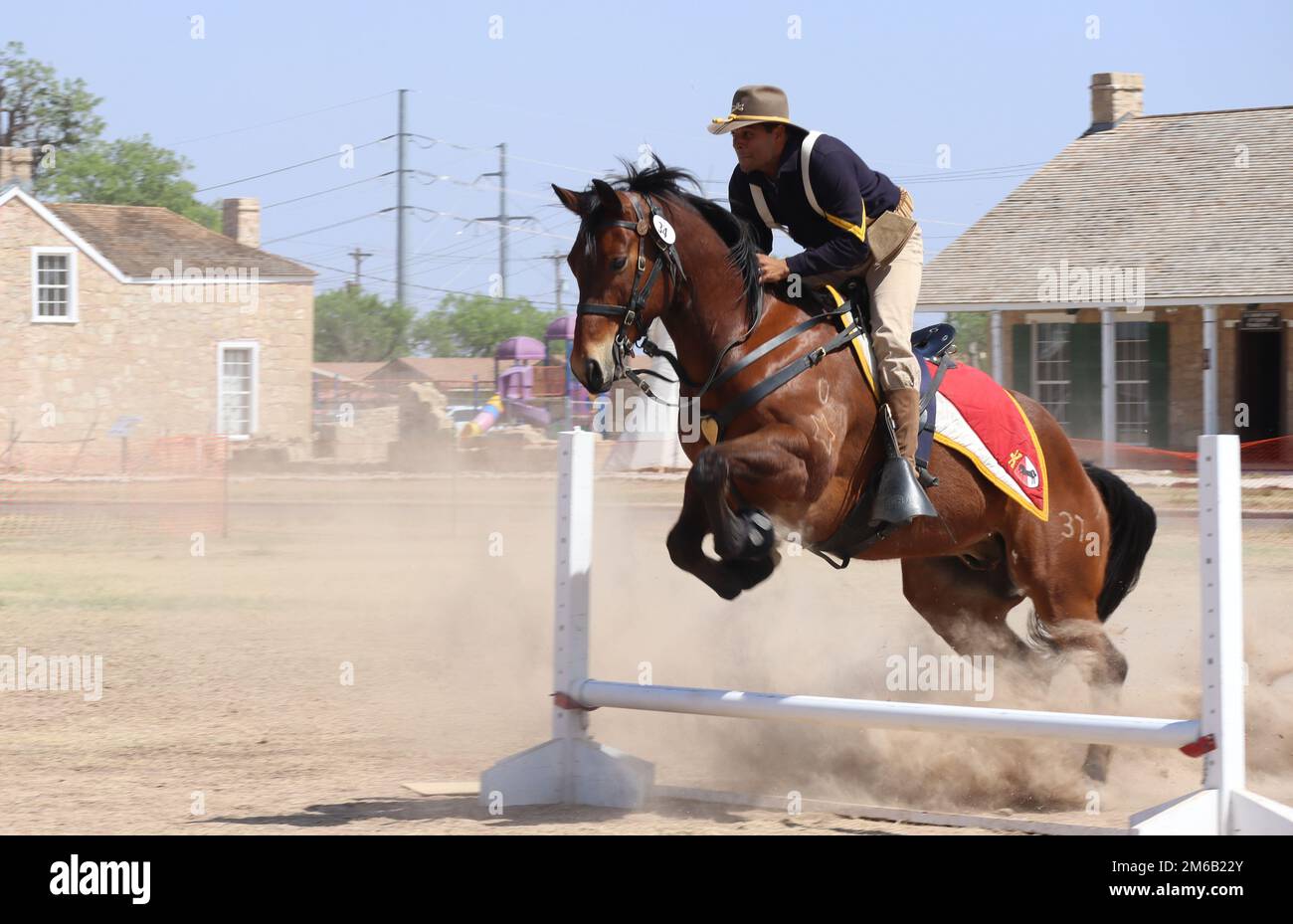 Modern Armored Horse