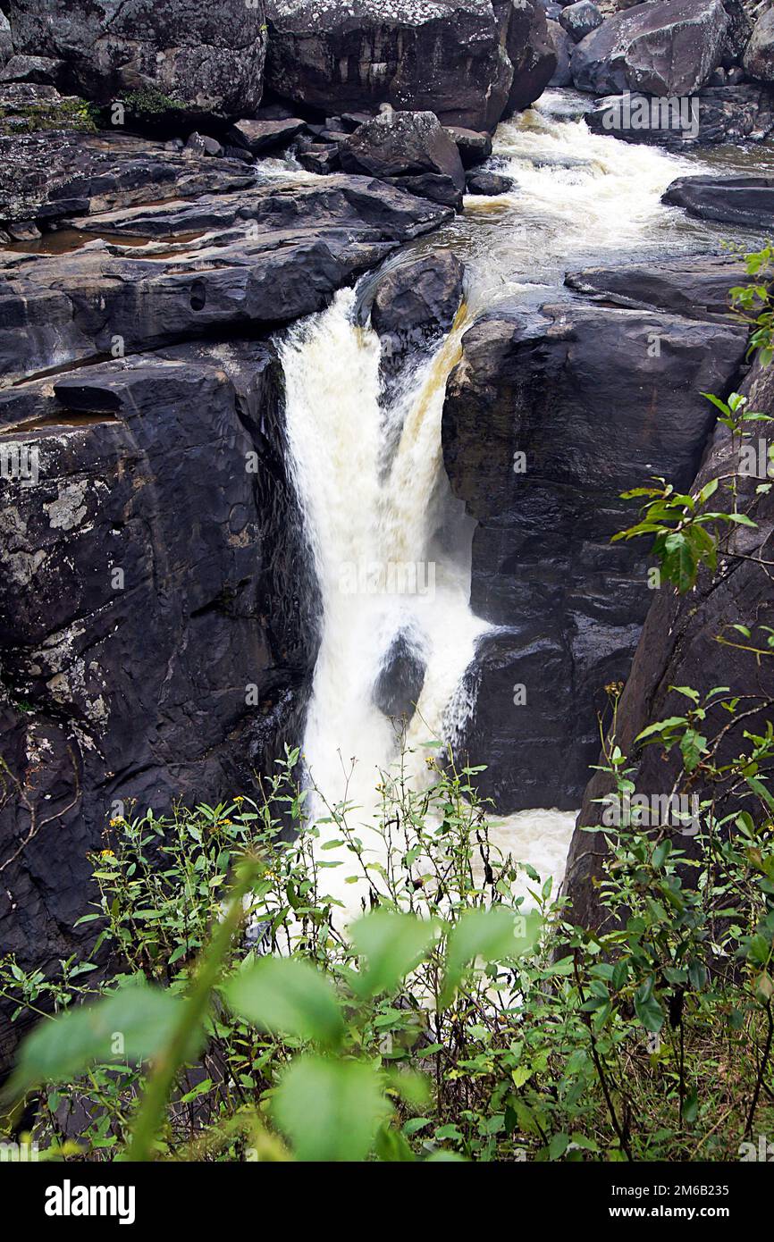 Ranomafana National Park waterfall, Madagascar Stock Photo - Alamy