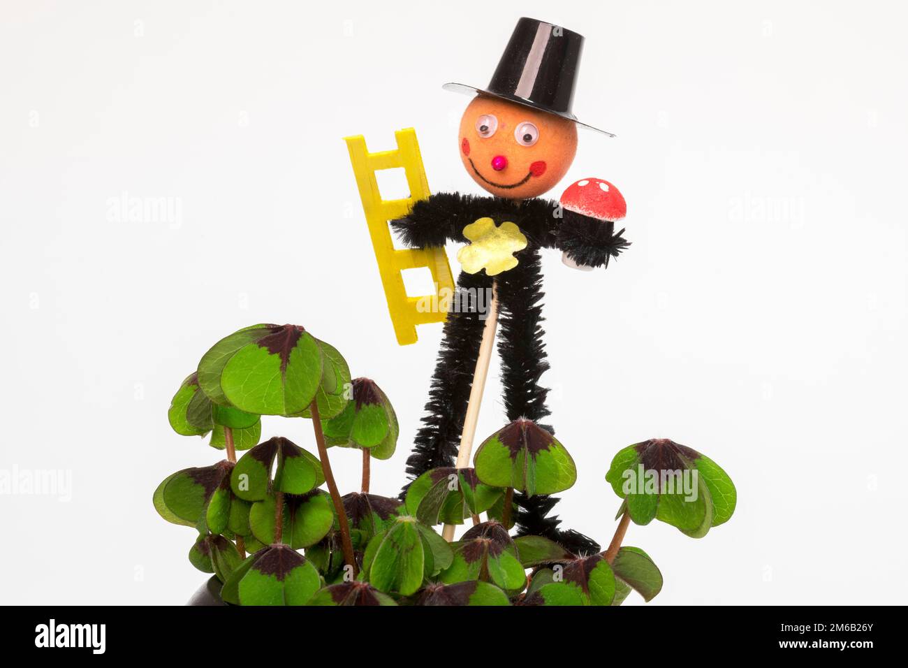 Chimney sweep with lucky clover for good luck, symbolic image, studio ...
